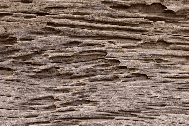 La madera es un material excelente, que es muy utilizado en diferentes ...